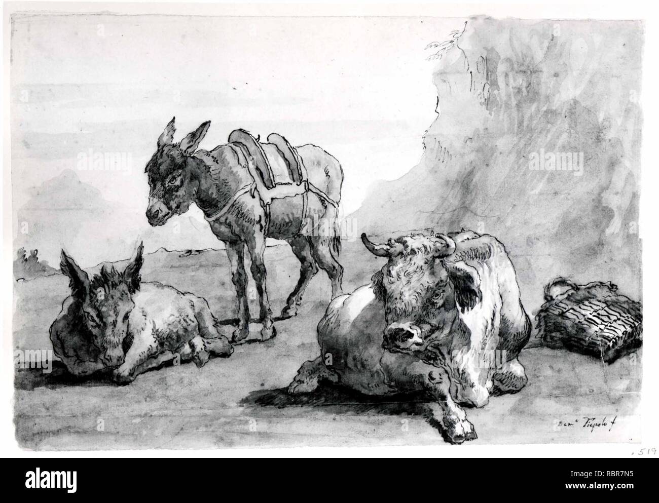459757 A Bull Lying Down, and Two Donkeys, in a Landscape Stock Photo ...