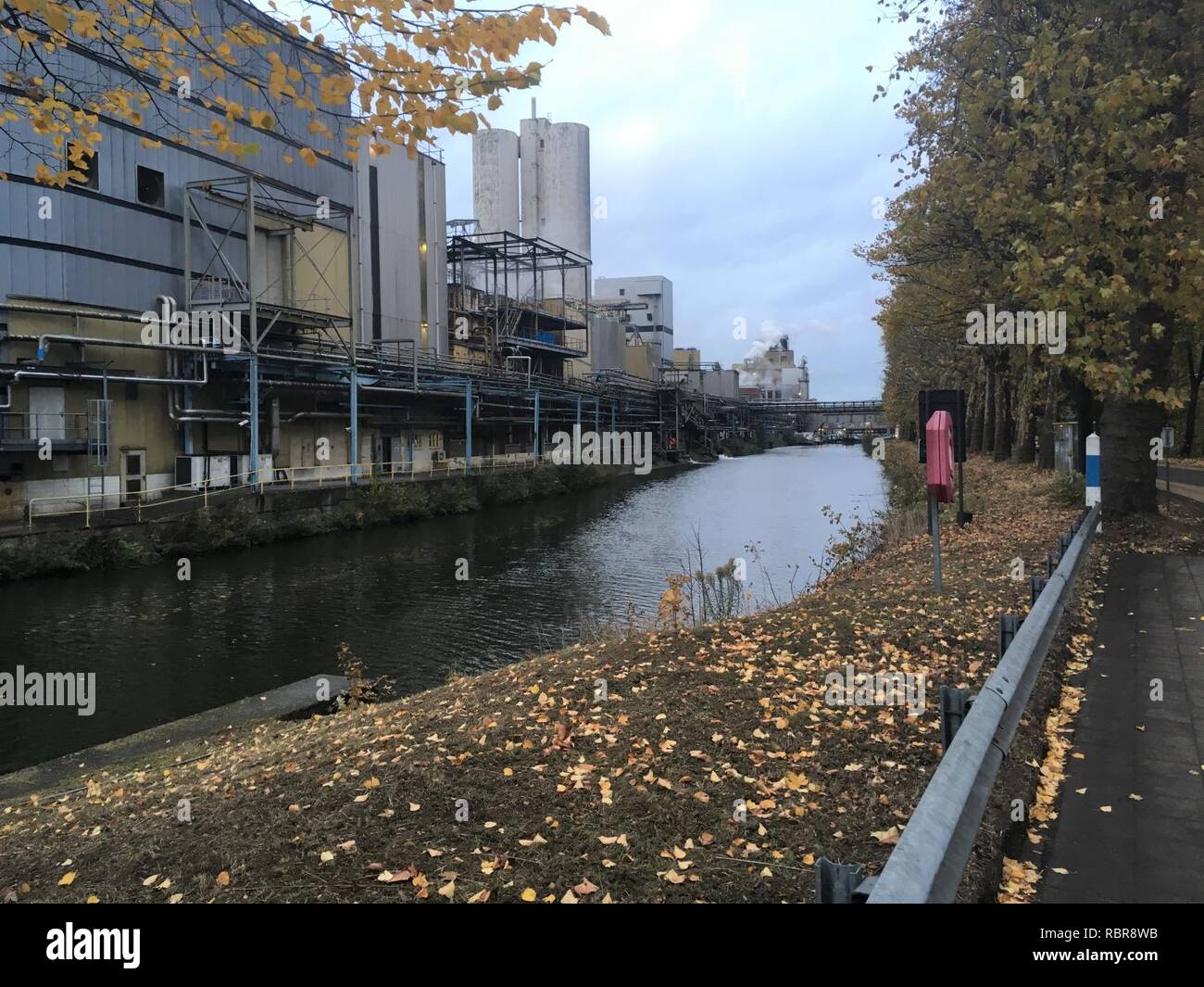 Tereos syral hi-res stock photography and images - Alamy