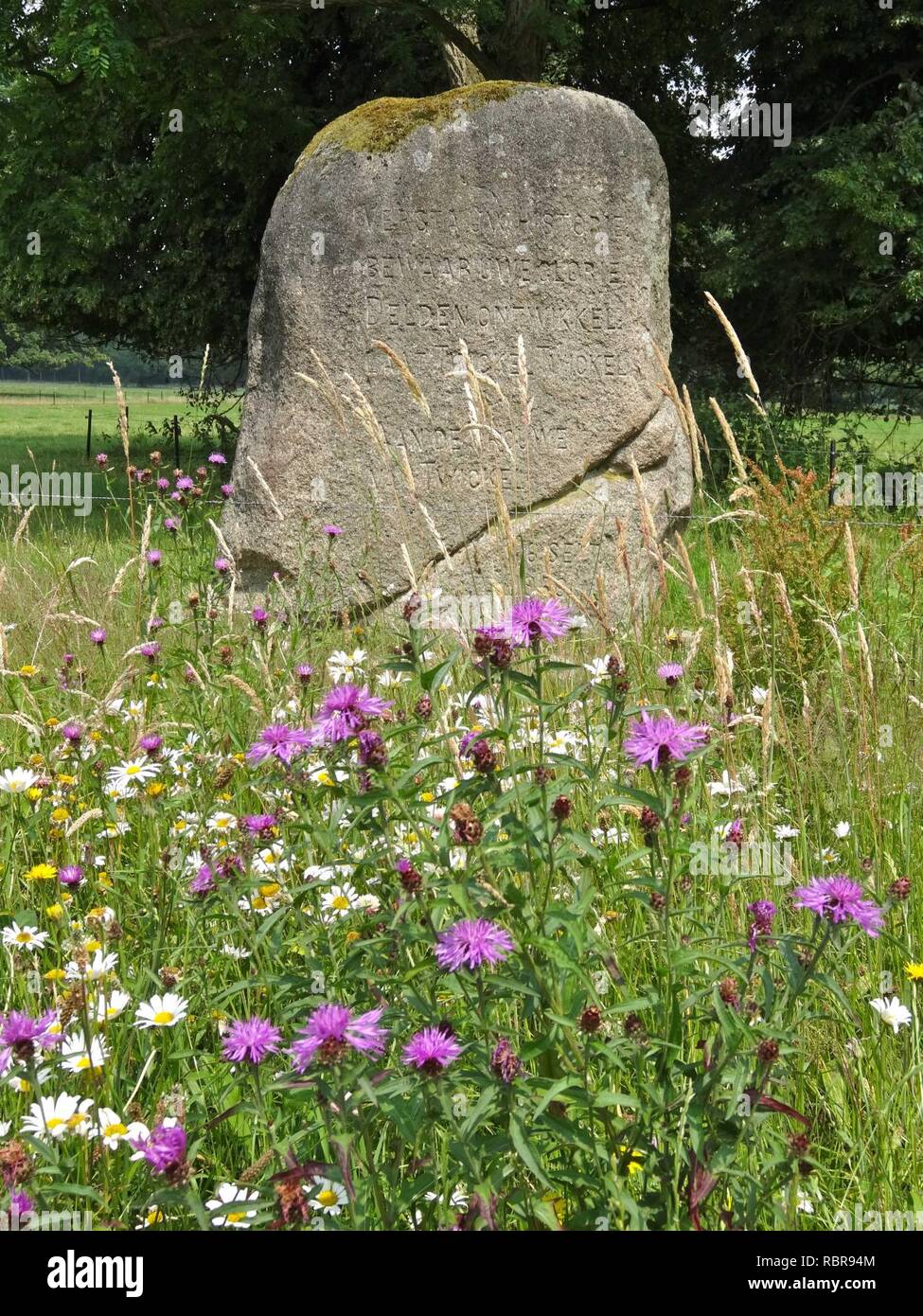 De twickel hi-res stock photography and images - Alamy