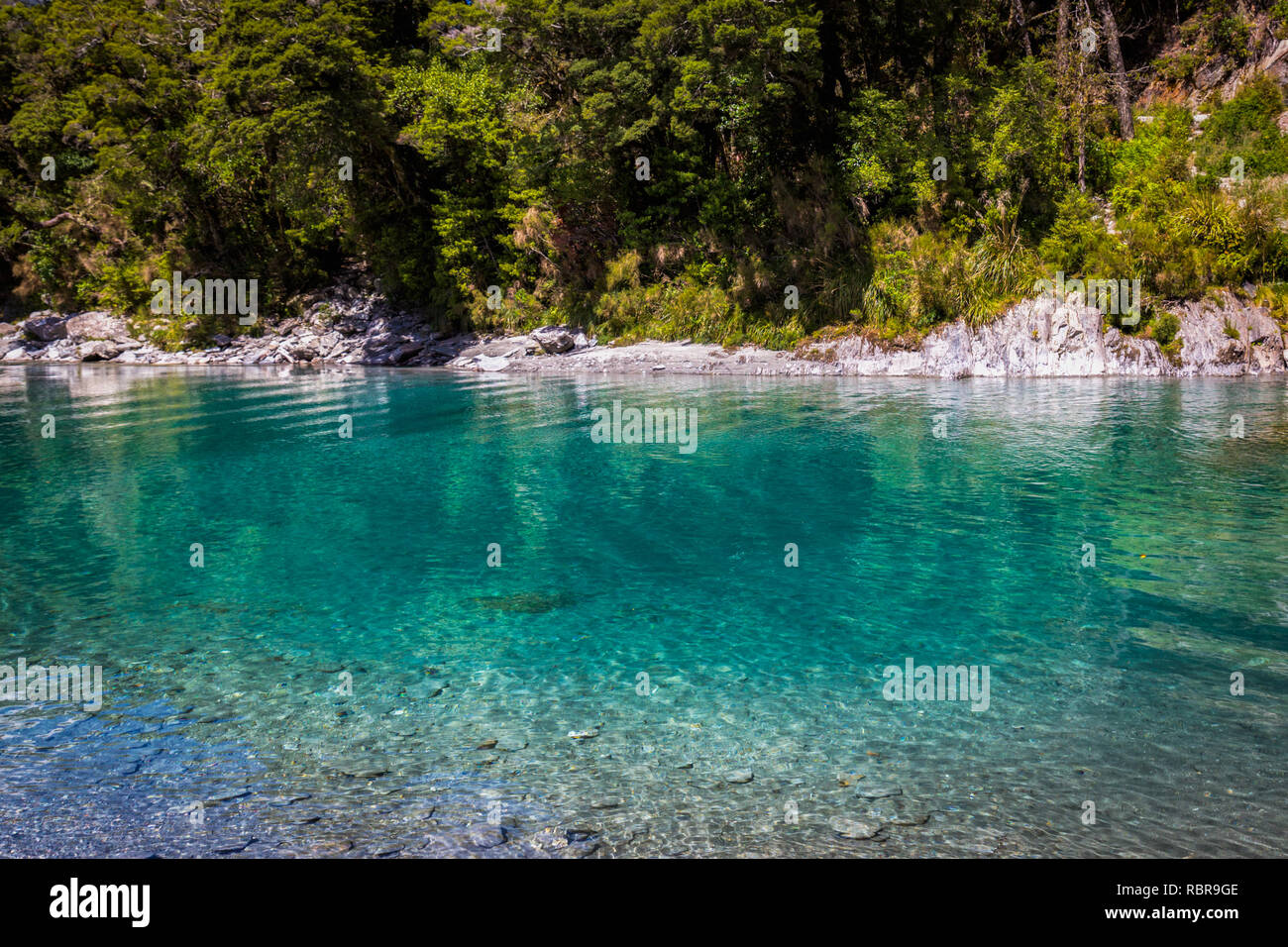 Makarora river new zealand hi-res stock photography and images - Alamy