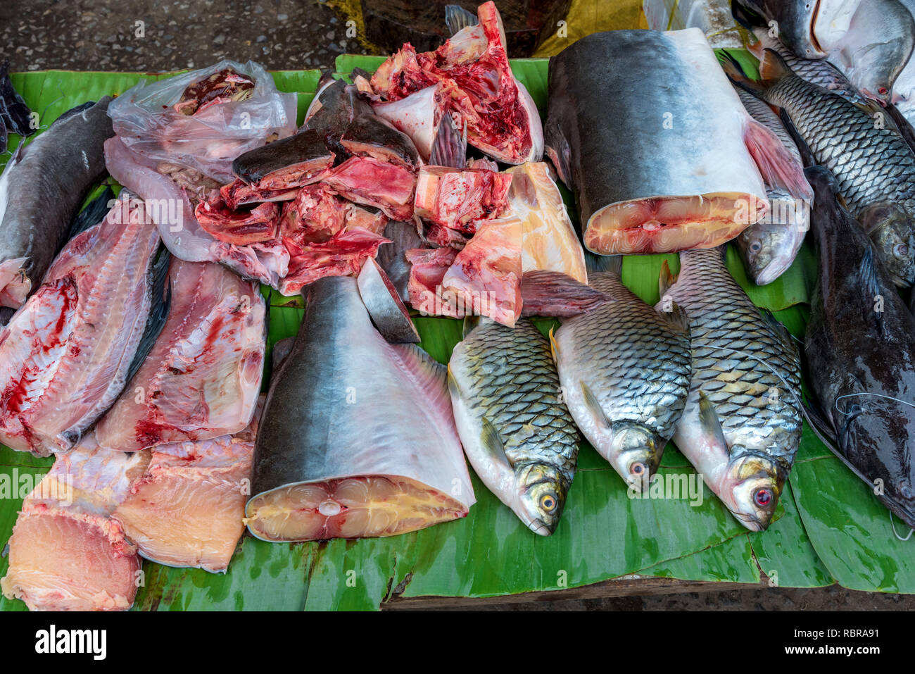 Local Fresh Fish Market in Luang Prabang, Laos Stock Photo - Alamy
