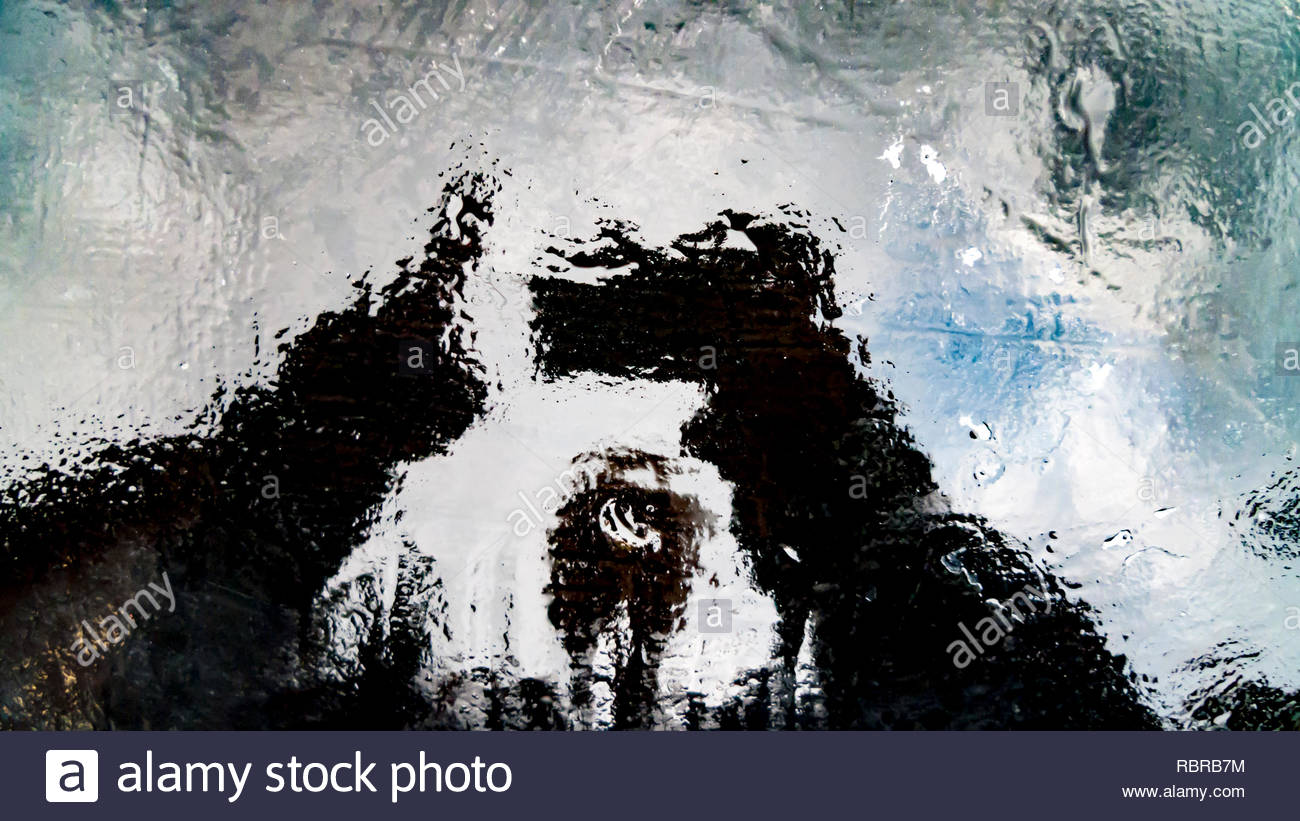 Water Distortion High Resolution Stock Photography and Images - Alamy
