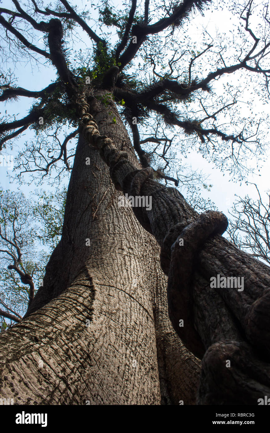 Giant foundations hi-res stock photography and images - Alamy
