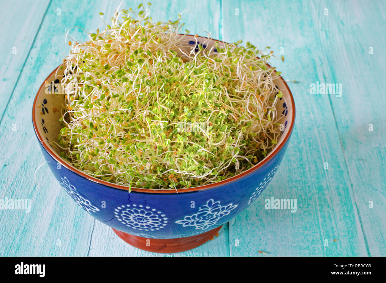 Clover roots hi-res stock photography and images - Alamy