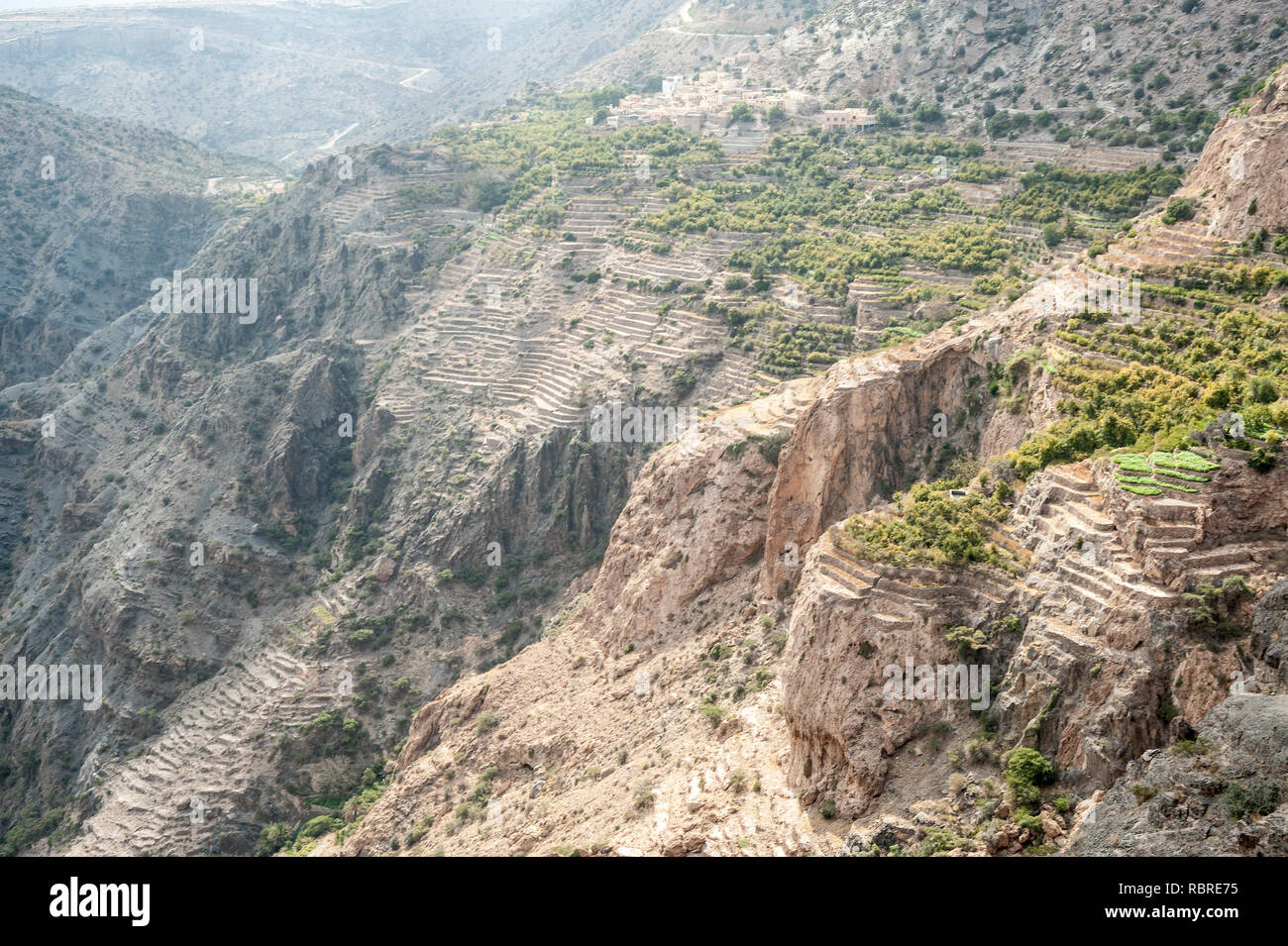 Agriculture oman hi-res stock photography and images - Alamy