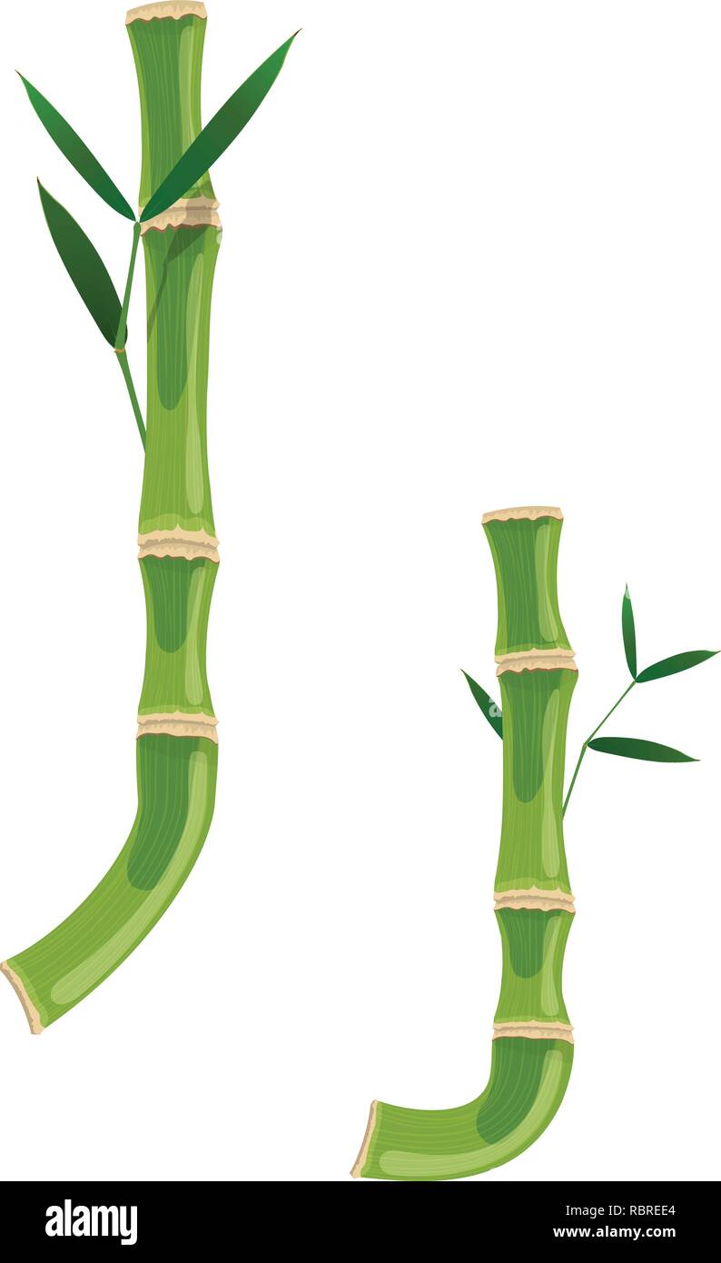 Bamboo letter J Stock Vector Image & Art - Alamy