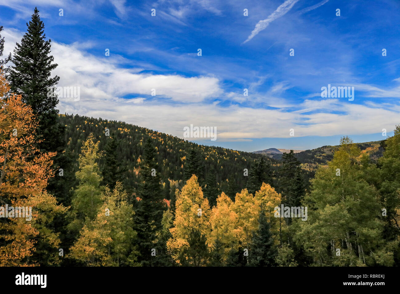 Fall colors with bright sky Stock Photo - Alamy