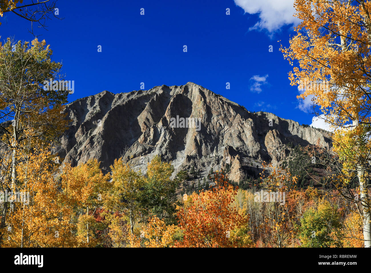 Colorado Mountain surrounded by yellow Aspen trees Stock Photo - Alamy