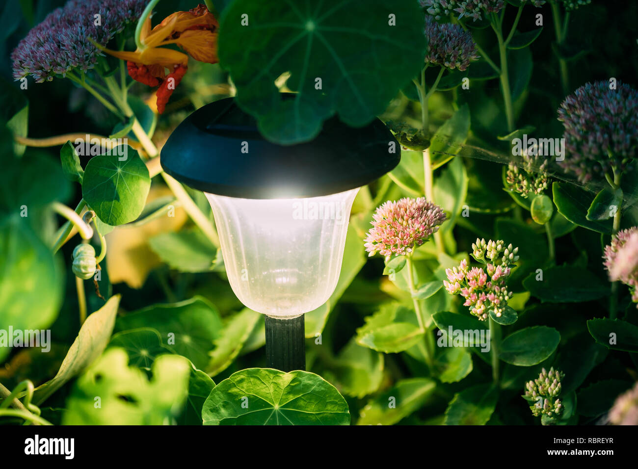 Beautiful Small Solar Garden Light, Lanterns In Flower Bed. Garden ...