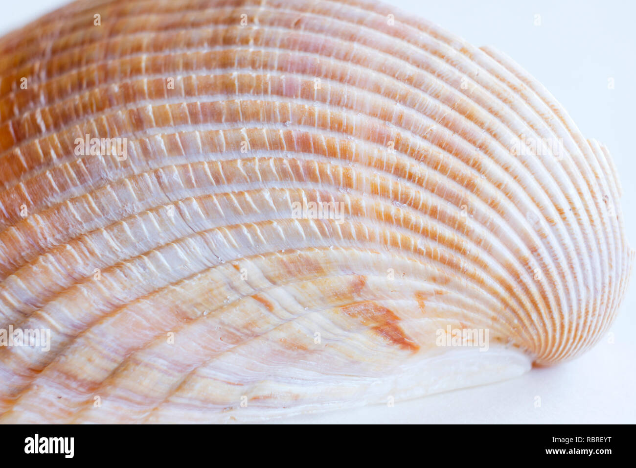 Food craft hi-res stock photography and images - Alamy