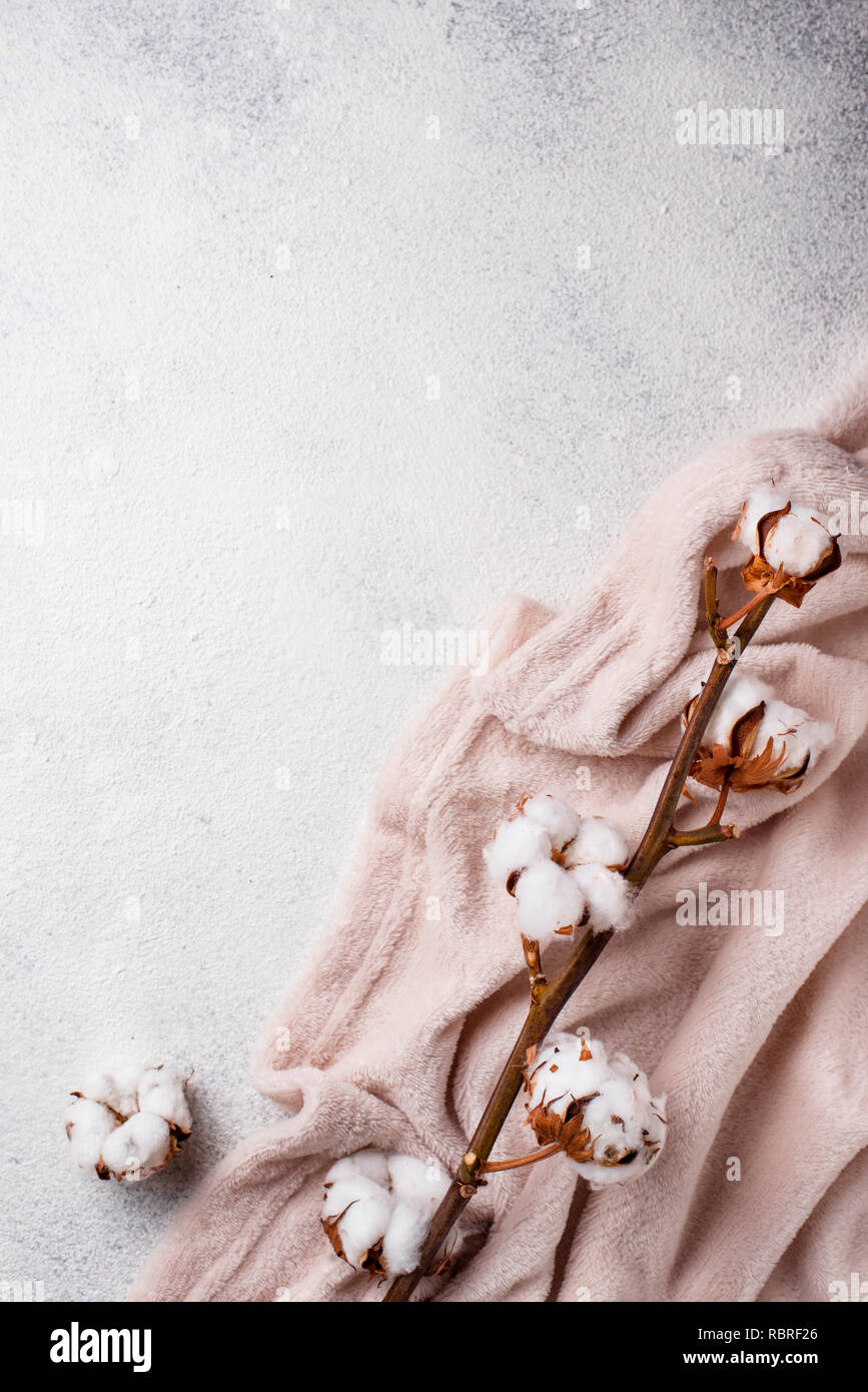 Cotton branch and blanket on light background Stock Photo - Alamy