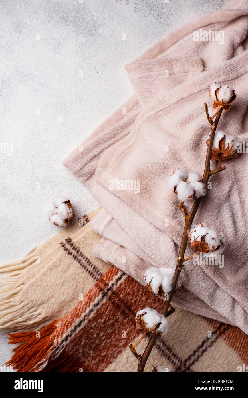 Cotton branch and blanket on light background Stock Photo - Alamy
