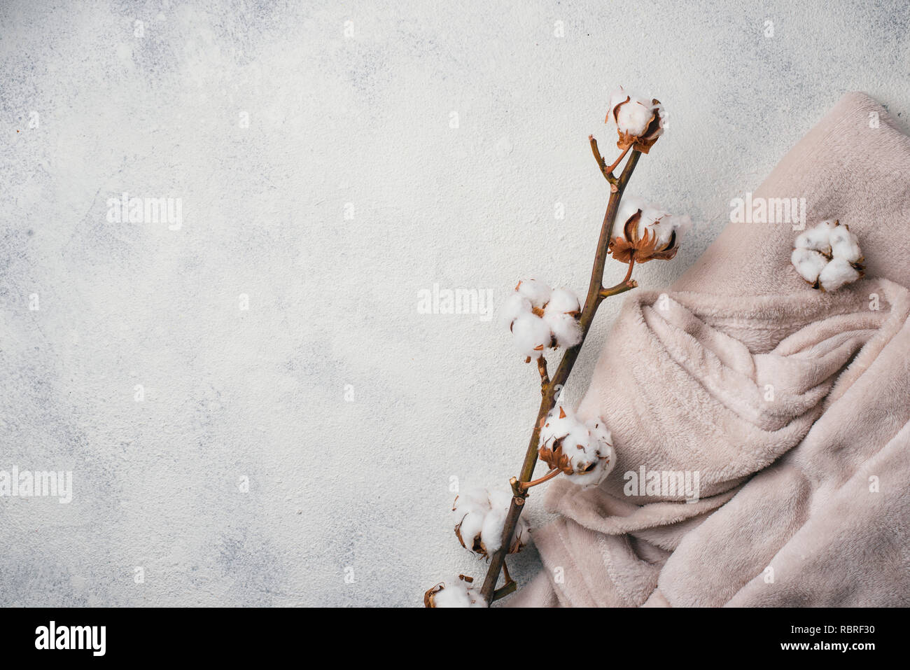 Cotton branch and blanket on light background Stock Photo - Alamy