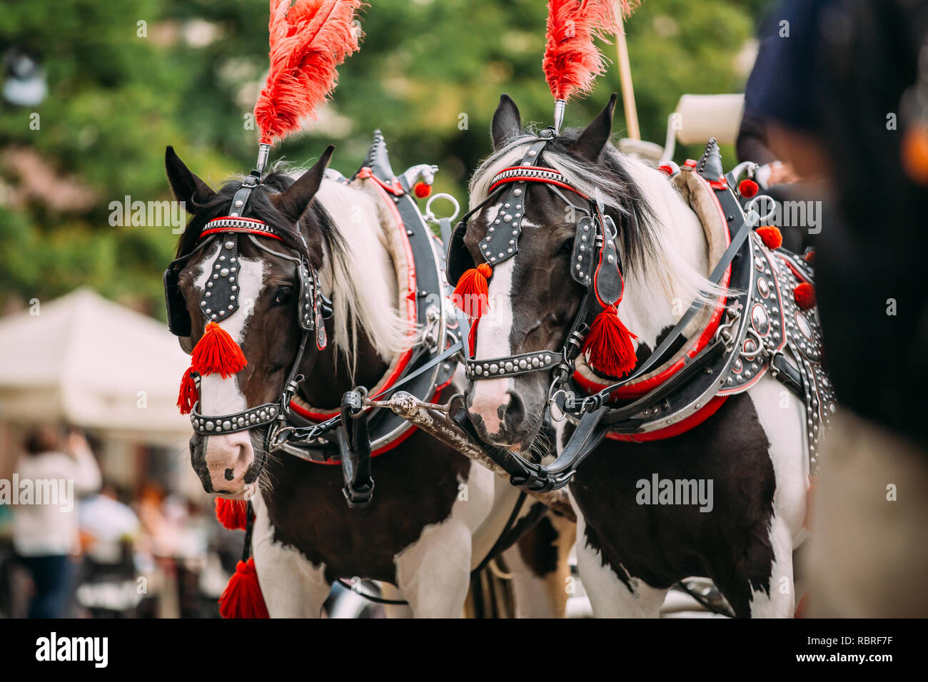 Old fashioned coach and horses hi-res stock photography and images - Alamy
