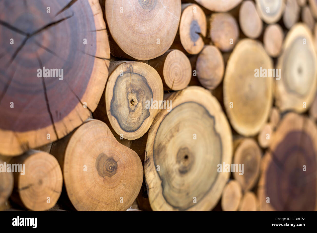 Perspective view of round wooden unpainted solid natural ecological ...