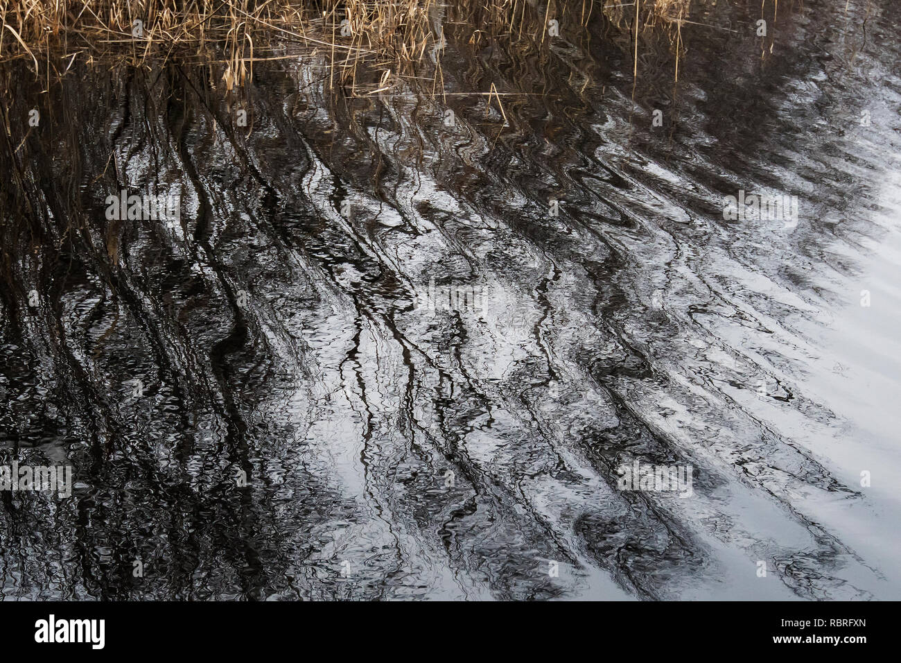 Water reflections pond in nature hi-res stock photography and images ...