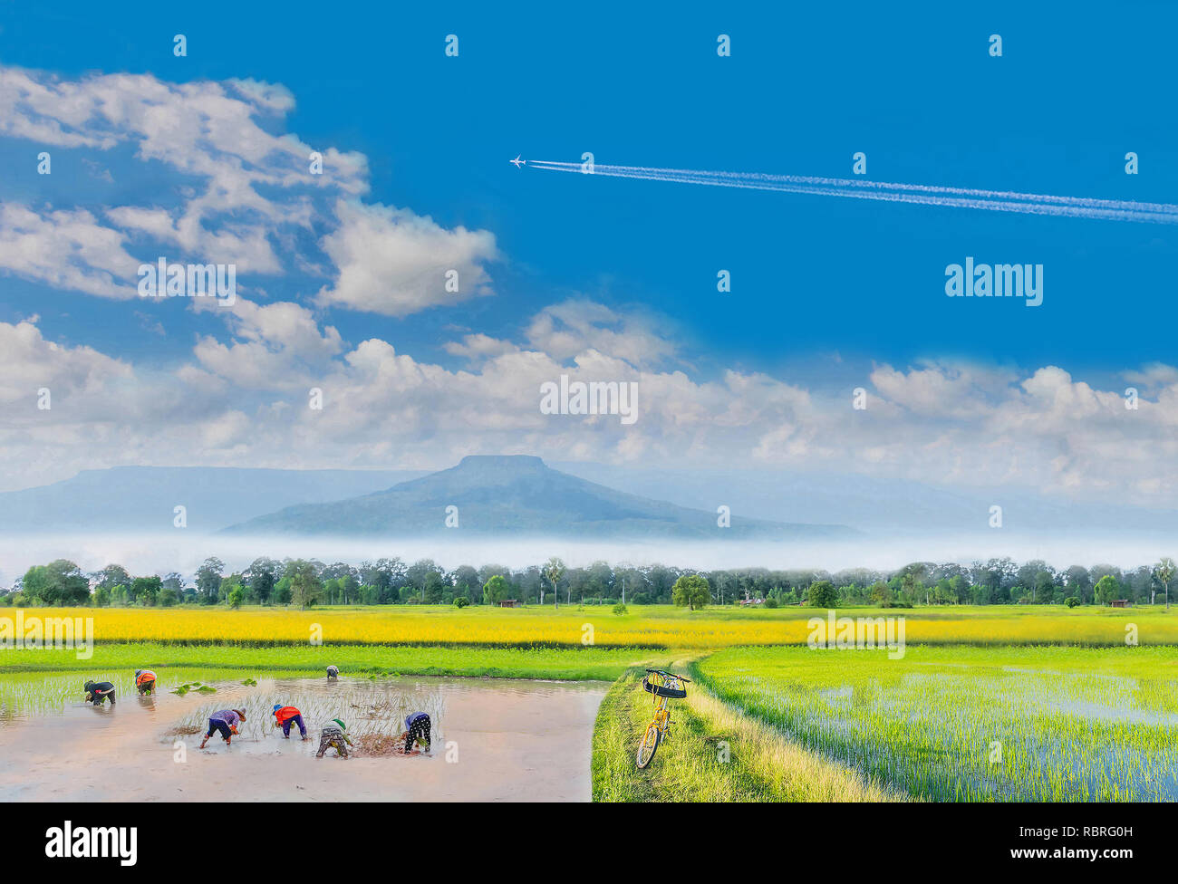 Japan bike field bird hi-res stock photography and images - Alamy