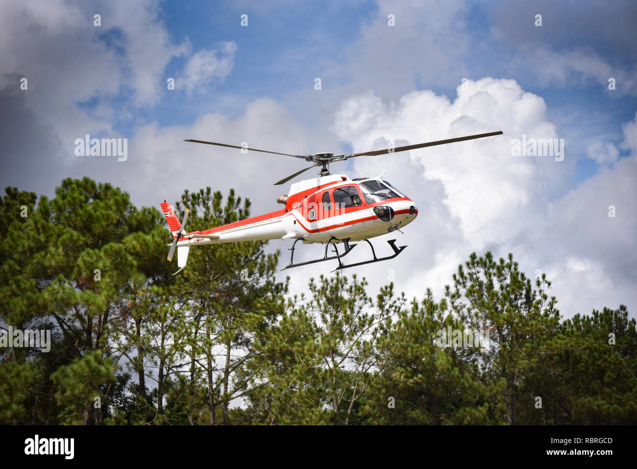 helicopter flying down on field on the forest / white red fly ...