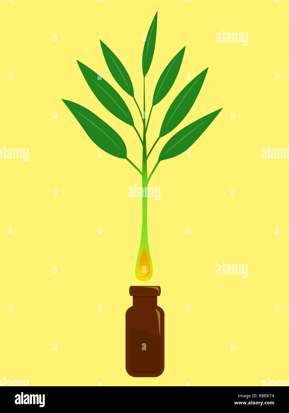 Illustration of a Tee Tree Plant with Oil Dropping Down a Brown Bottle ...
