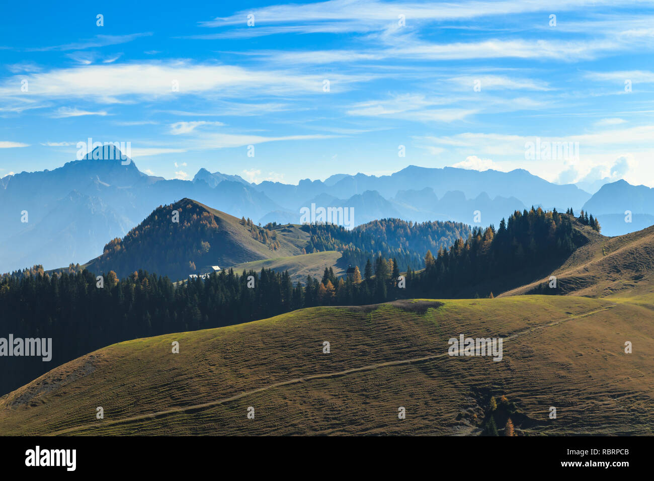 Autumn with the foliage in the alps of Friuli Venezia-Giulia Stock ...