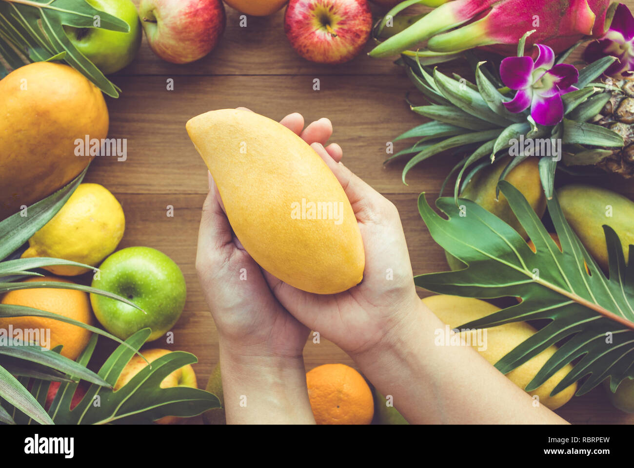 Close up female hand holding yellow mango on group of fruits on wood ...