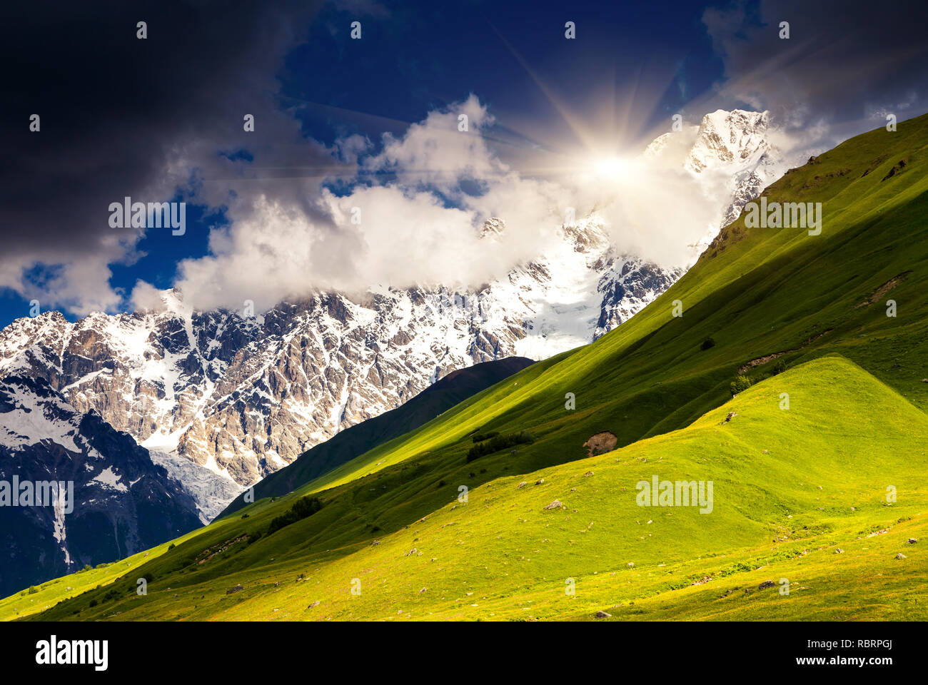 Alpine meadows at the foot of Mt. Shkhara. Upper Svaneti, Georgia ...