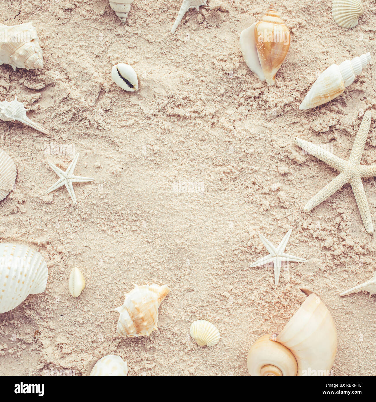 Animall shell hi-res stock photography and images - Alamy