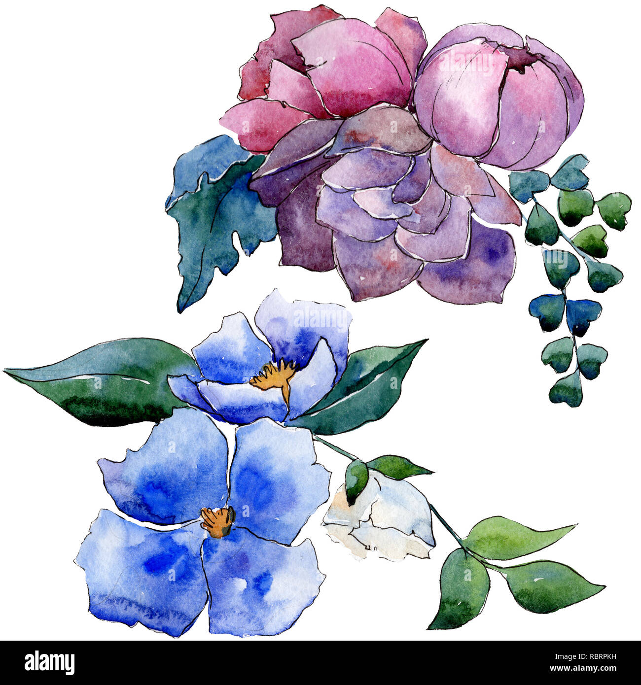 Bouquet floral botanical flowers. Watercolor background illustration ...