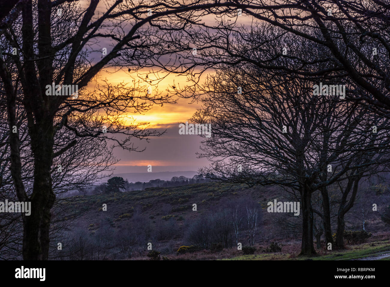 December sunshine hi-res stock photography and images - Alamy