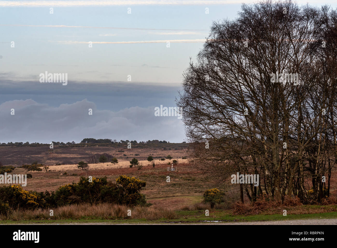 December sunshine hi-res stock photography and images - Alamy