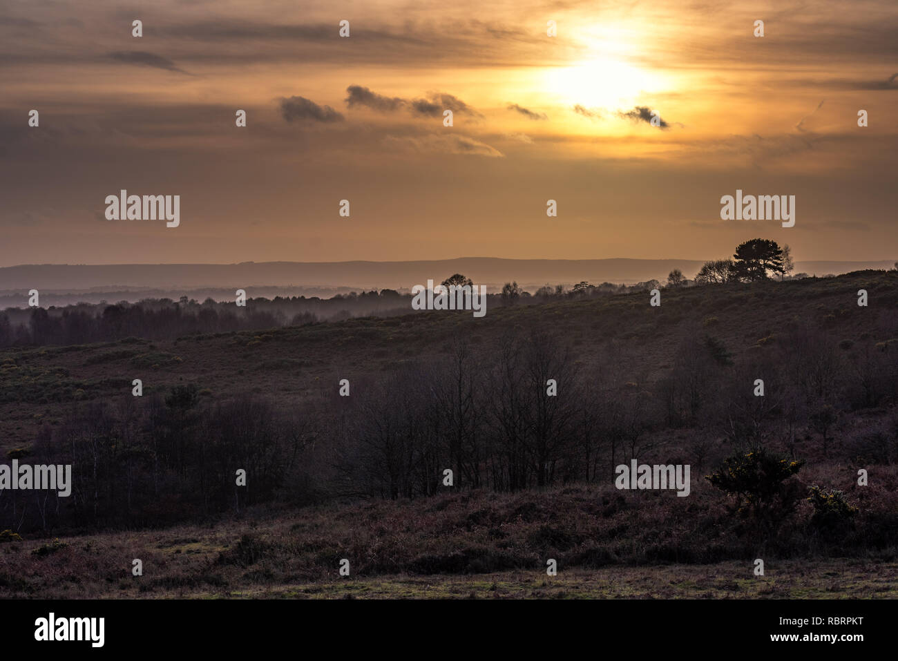 December sunshine hi-res stock photography and images - Alamy