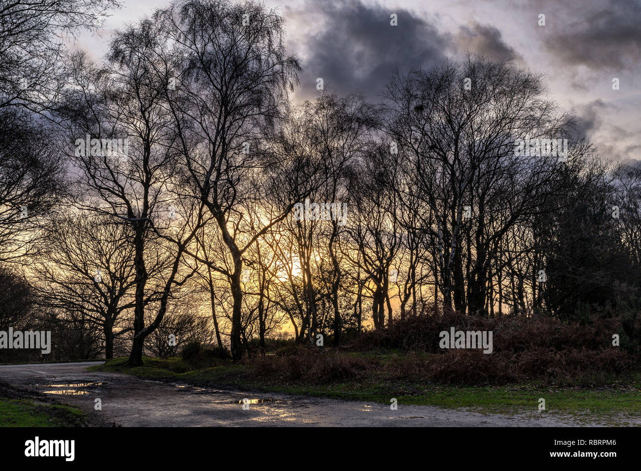 December sunshine hi-res stock photography and images - Alamy