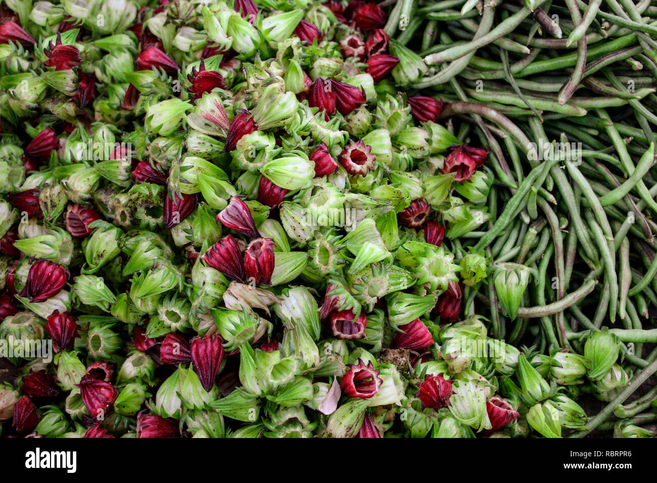 Fresh red and green roselle flowers sale in the market Stock Photo - Alamy