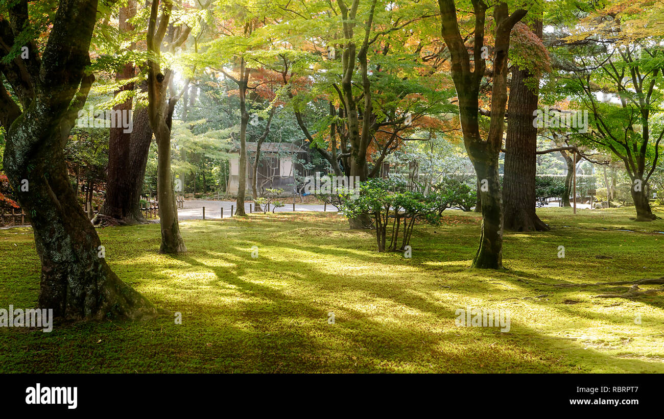 The Famous Kenroku-en garden in Kanazawa, Japan Stock Photo - Alamy