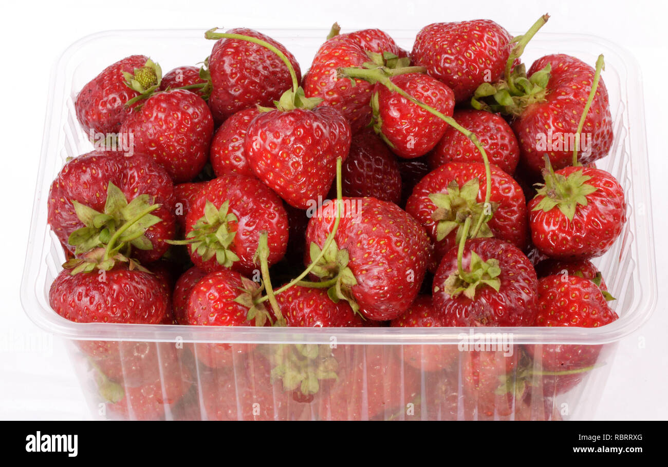 many Strawberry in plastic container Stock Photo - Alamy