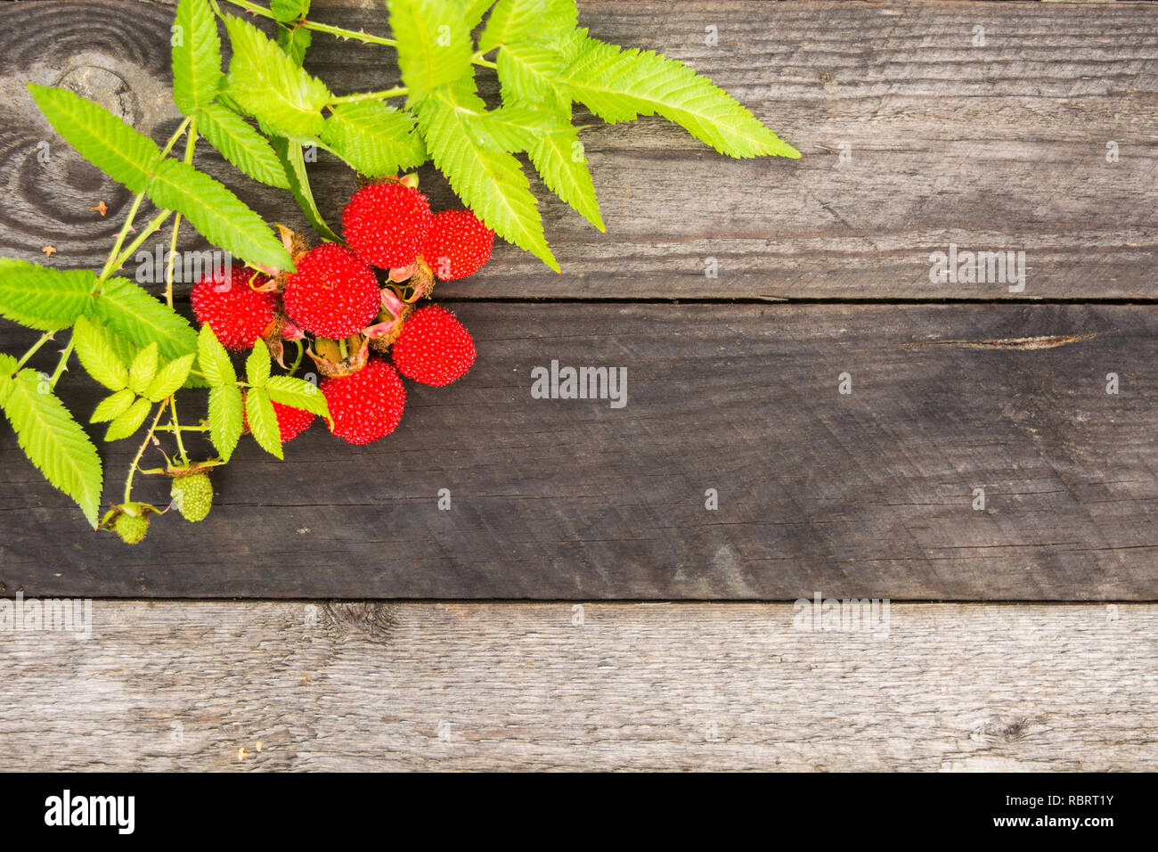 Tibetan raspberries with green leaves over grey wooden background with ...