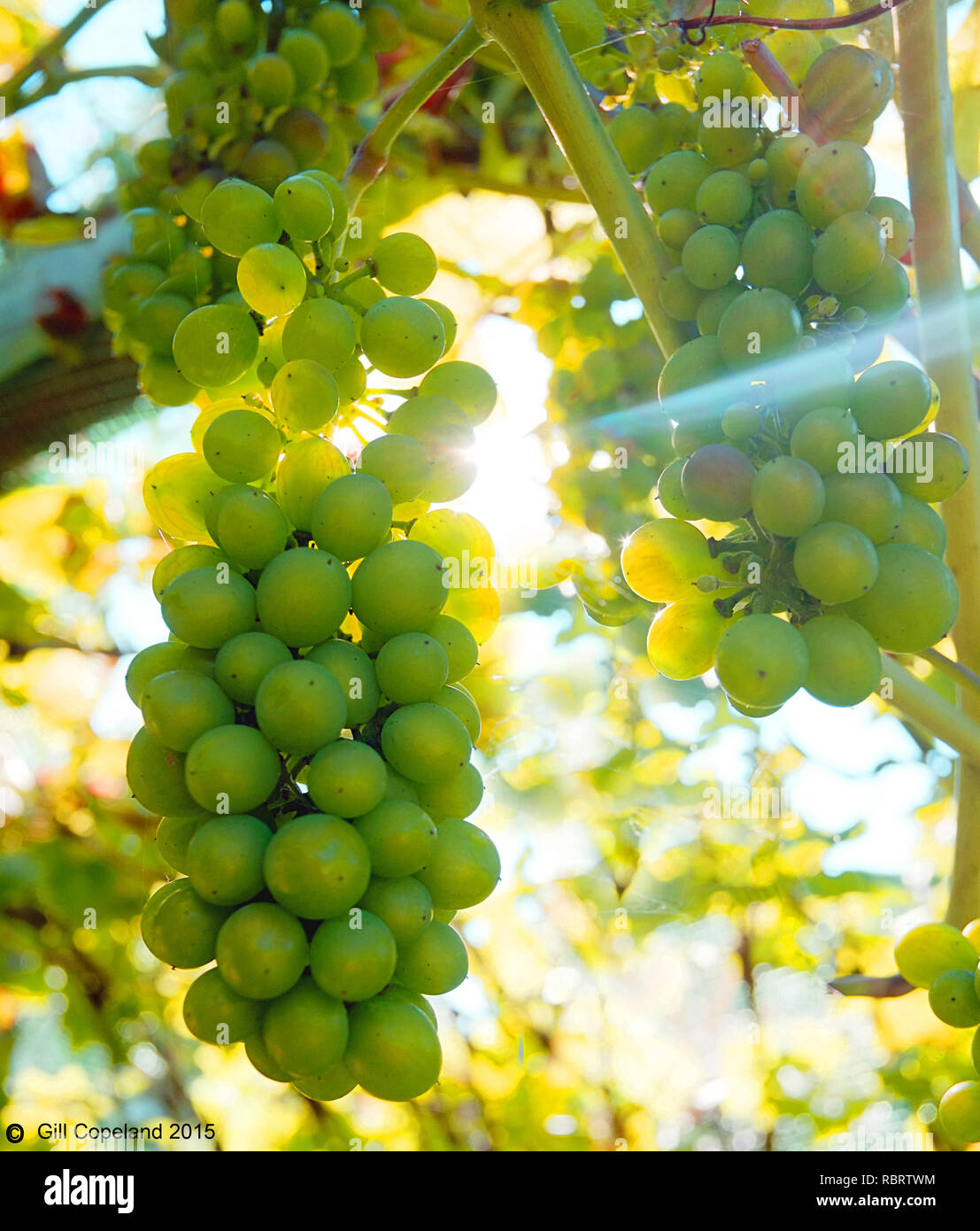 Big beam of light hi-res stock photography and images - Alamy