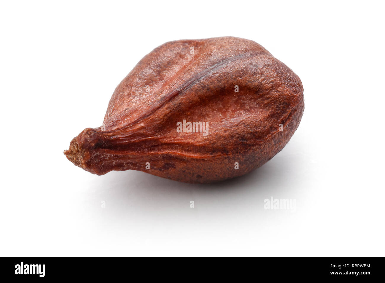 Single grape seed isolated on white background Stock Photo - Alamy