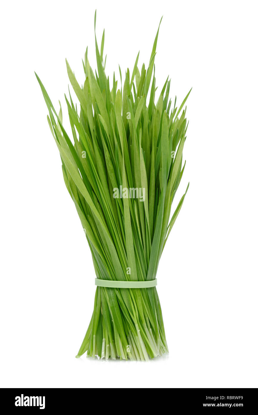 A bunch of grass isolated on white background Stock Photo - Alamy
