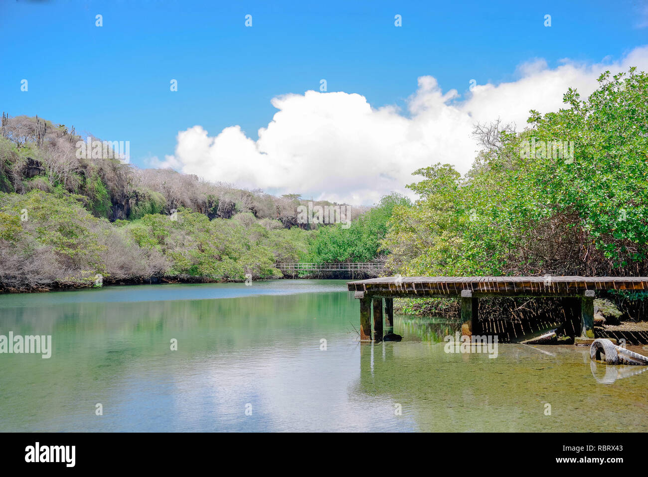 View of wooden path close to lagoon located in the manrgove on San ...