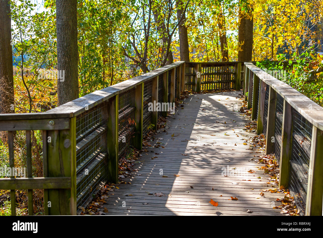 Hamilton, CANADA - October 16, 2018: colorful sunny autumn full of ...