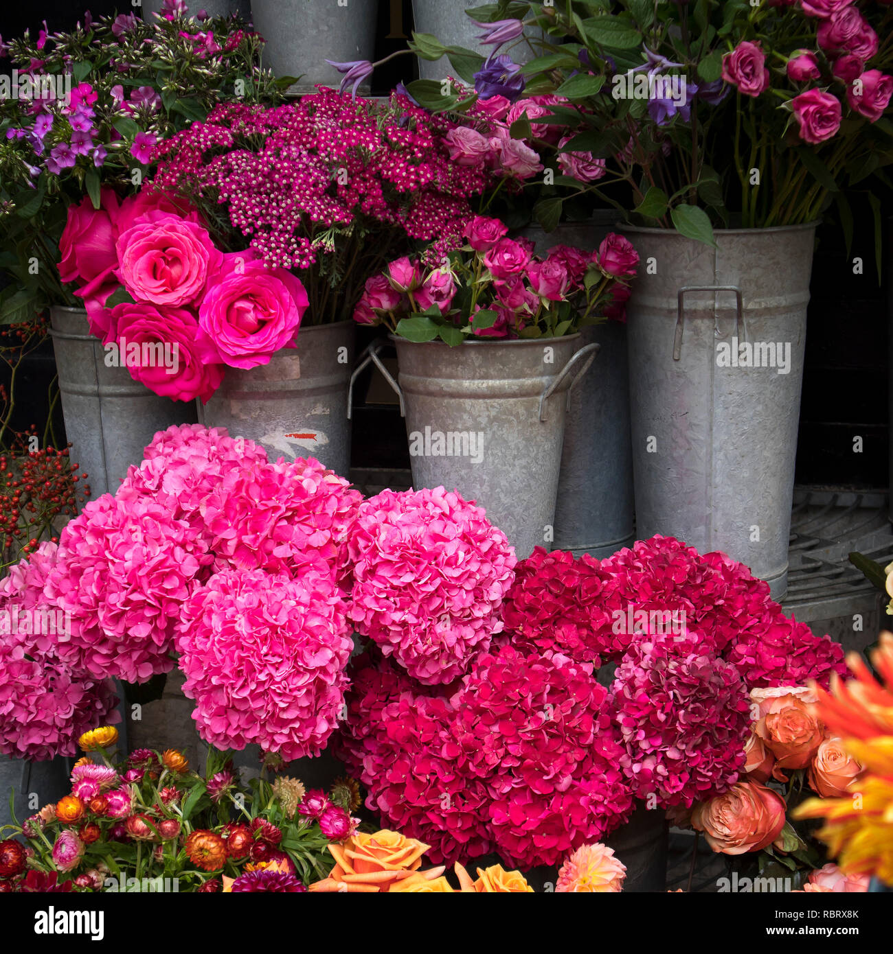 The colorful variety of flowers sold in the market in London Stock ...