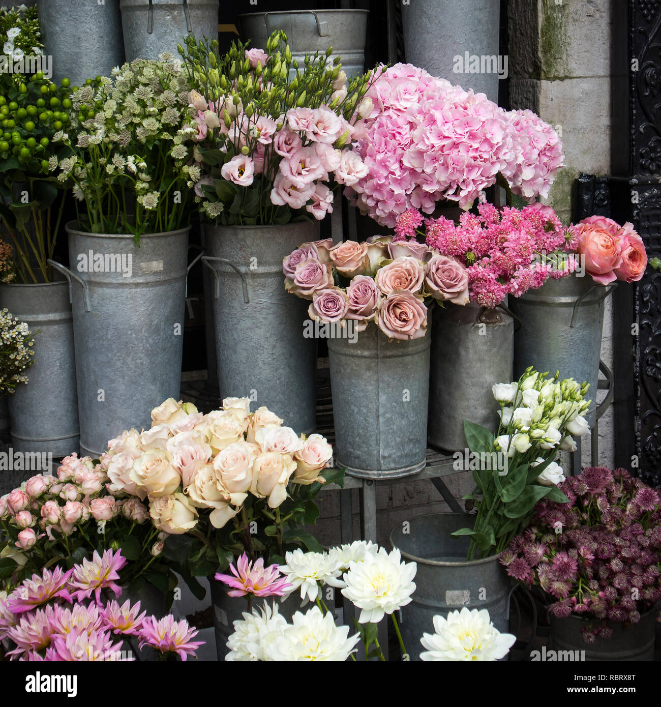 The colorful variety of flowers sold in the market in London Stock ...
