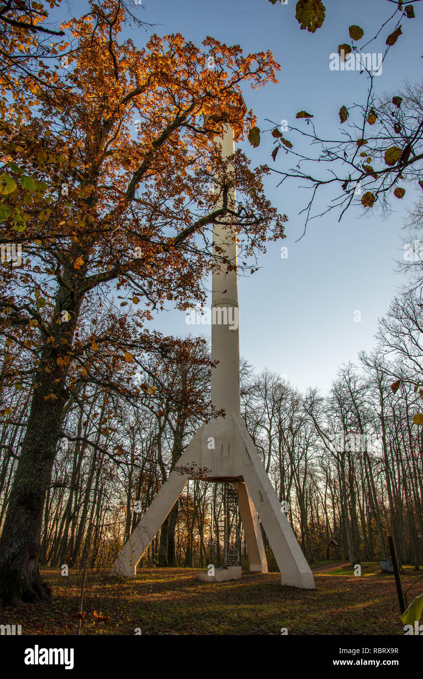 watchtower details and wooden bars, stairs and walls from below up ...