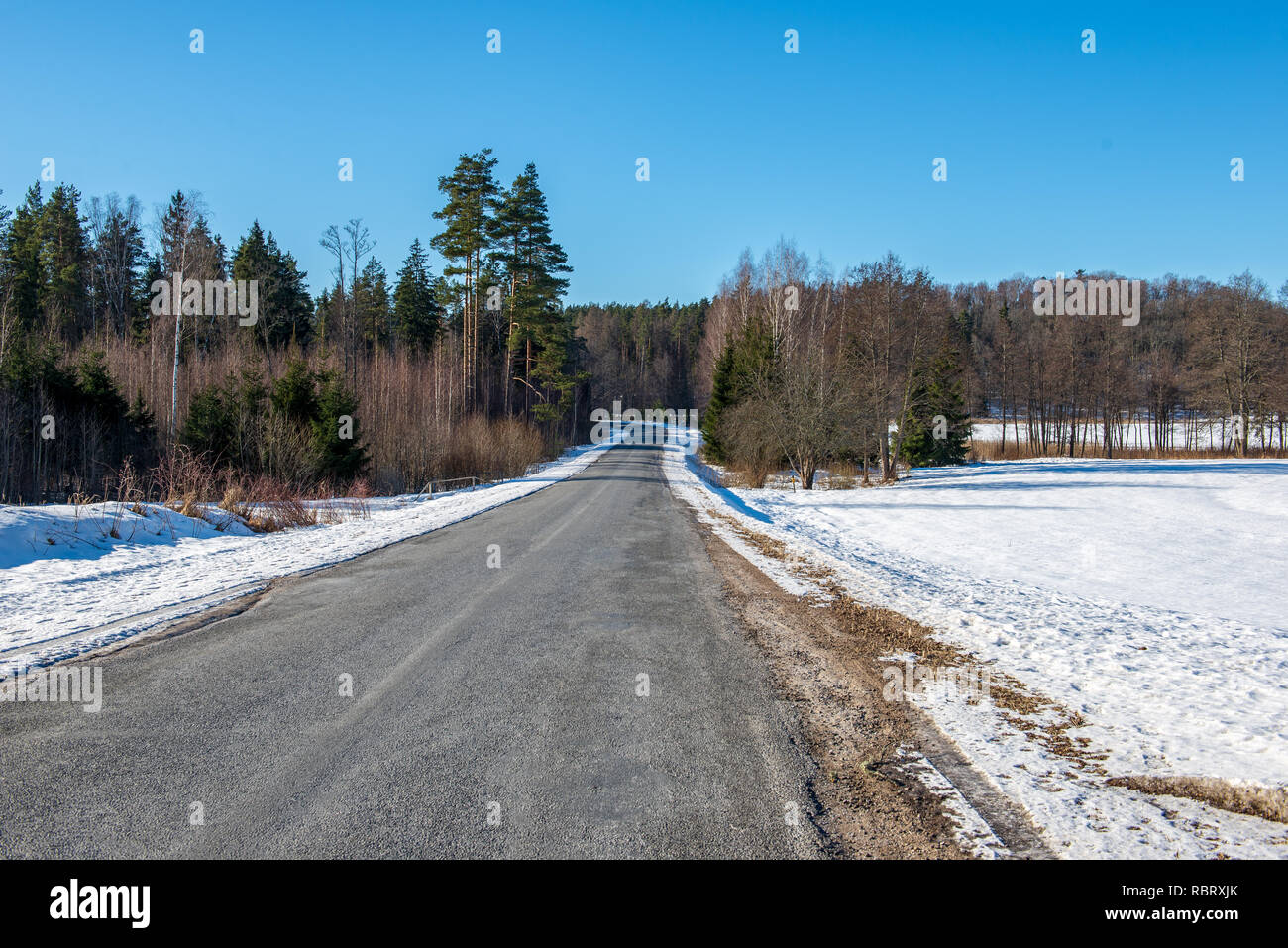 empty asphalt road in winter with shadows from forest trees and snow ...