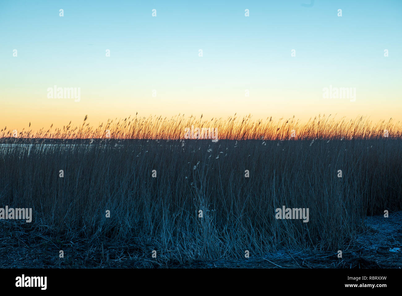 beautiful. red sunset over the sea, lake with clear sky and reflections ...
