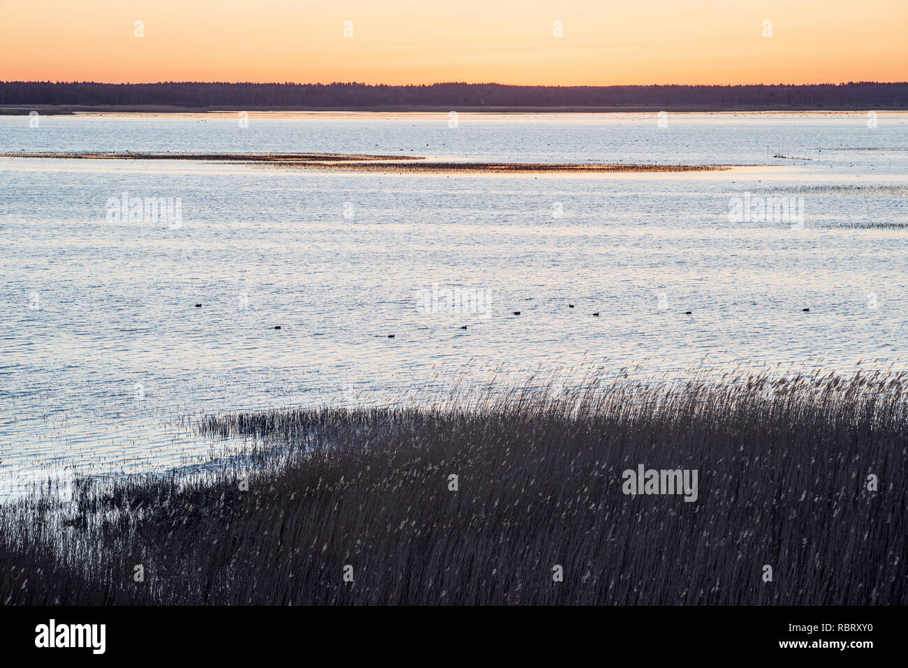 beautiful. red sunset over the sea, lake with clear sky and reflections ...