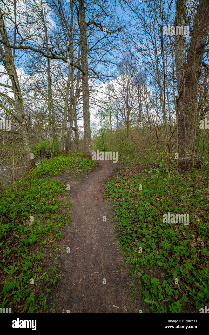 country gravel road in perspective with old and broken asphalt in ...