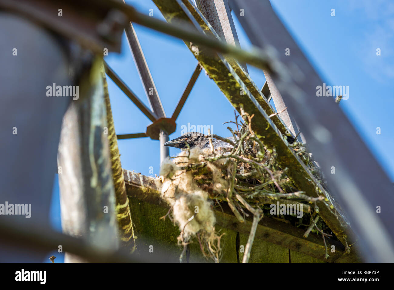 watchtower details and wooden bars, stairs and walls from below up ...