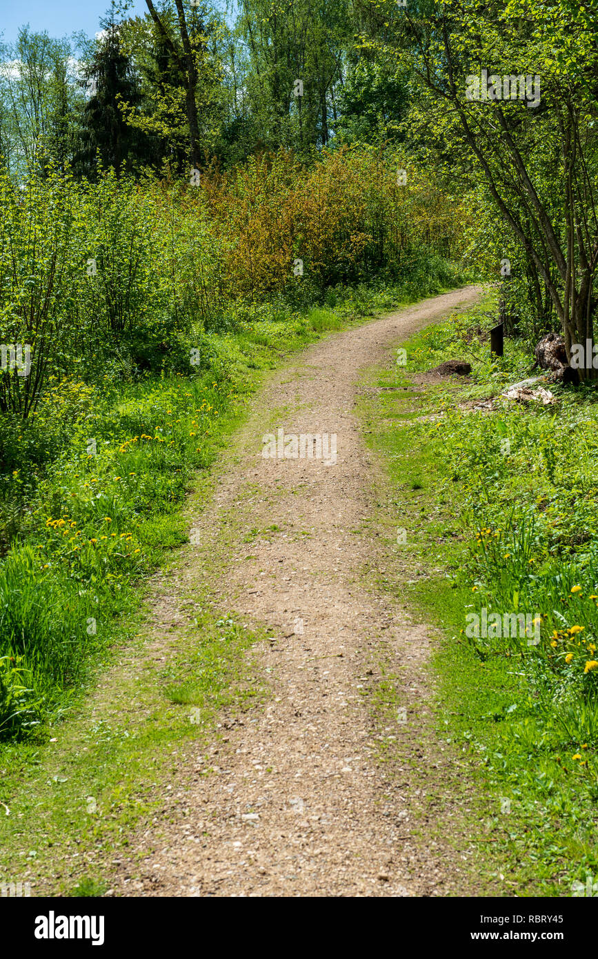 country gravel road in perspective with old and broken asphalt in ...